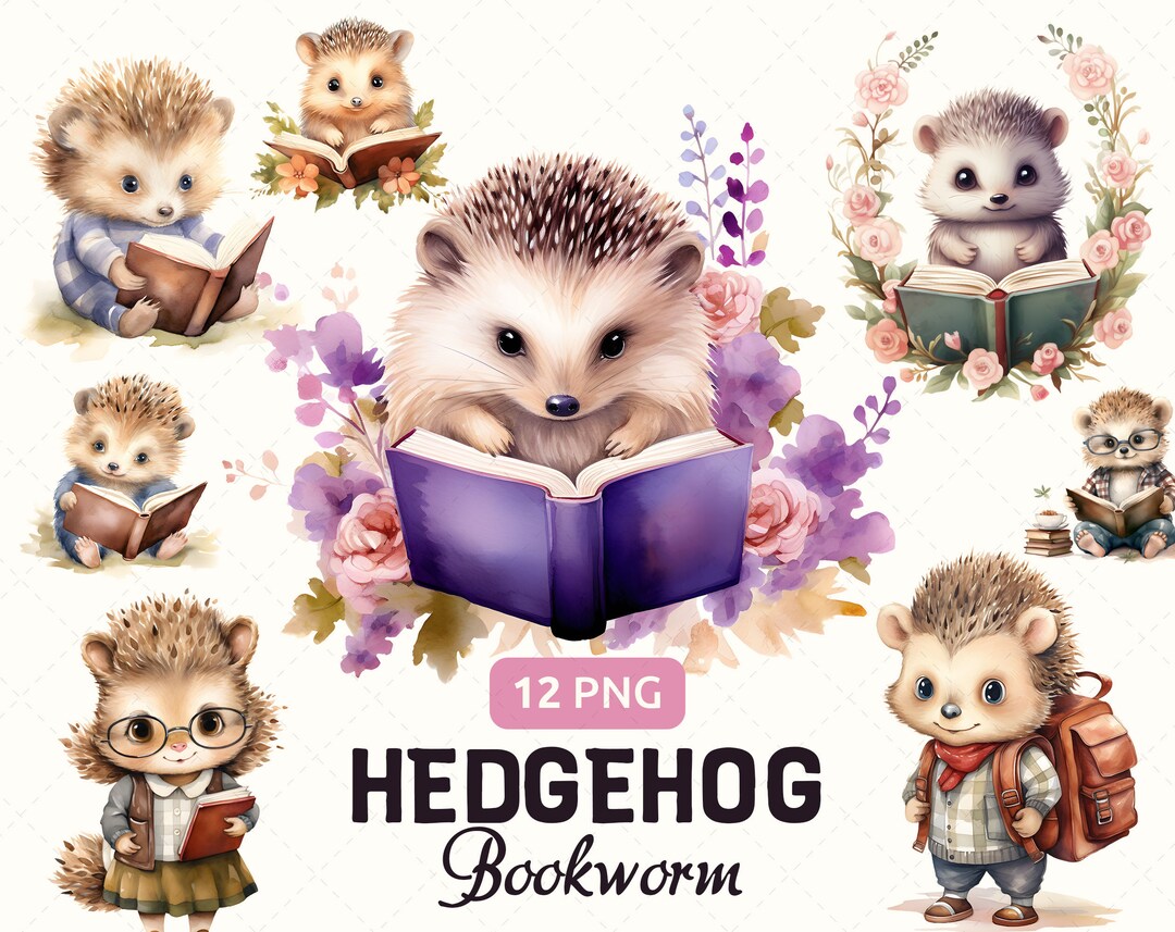 Cute Hedgehog Bookworm Clipart 12 PNG Bundle, Watercolor Baby Hedgehog ...