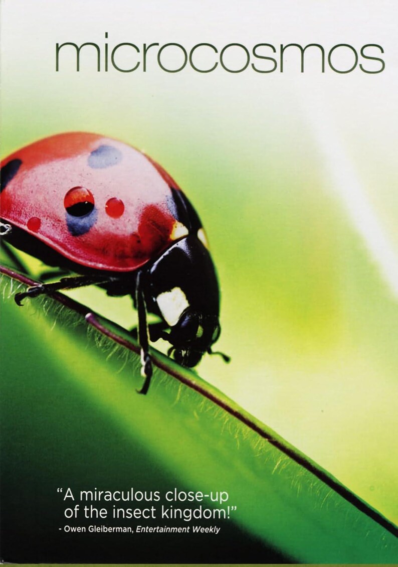 Microcosmos - A Miraculous Close-up of the Insect Kingdom - DVD - Etsy