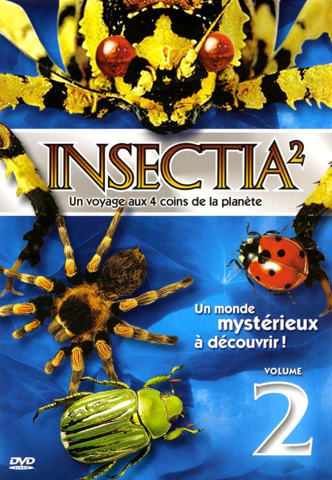 INSECTIA 2 Un Monde Mysterieux Vol.2 (IMV101100) - DVD - Etsy