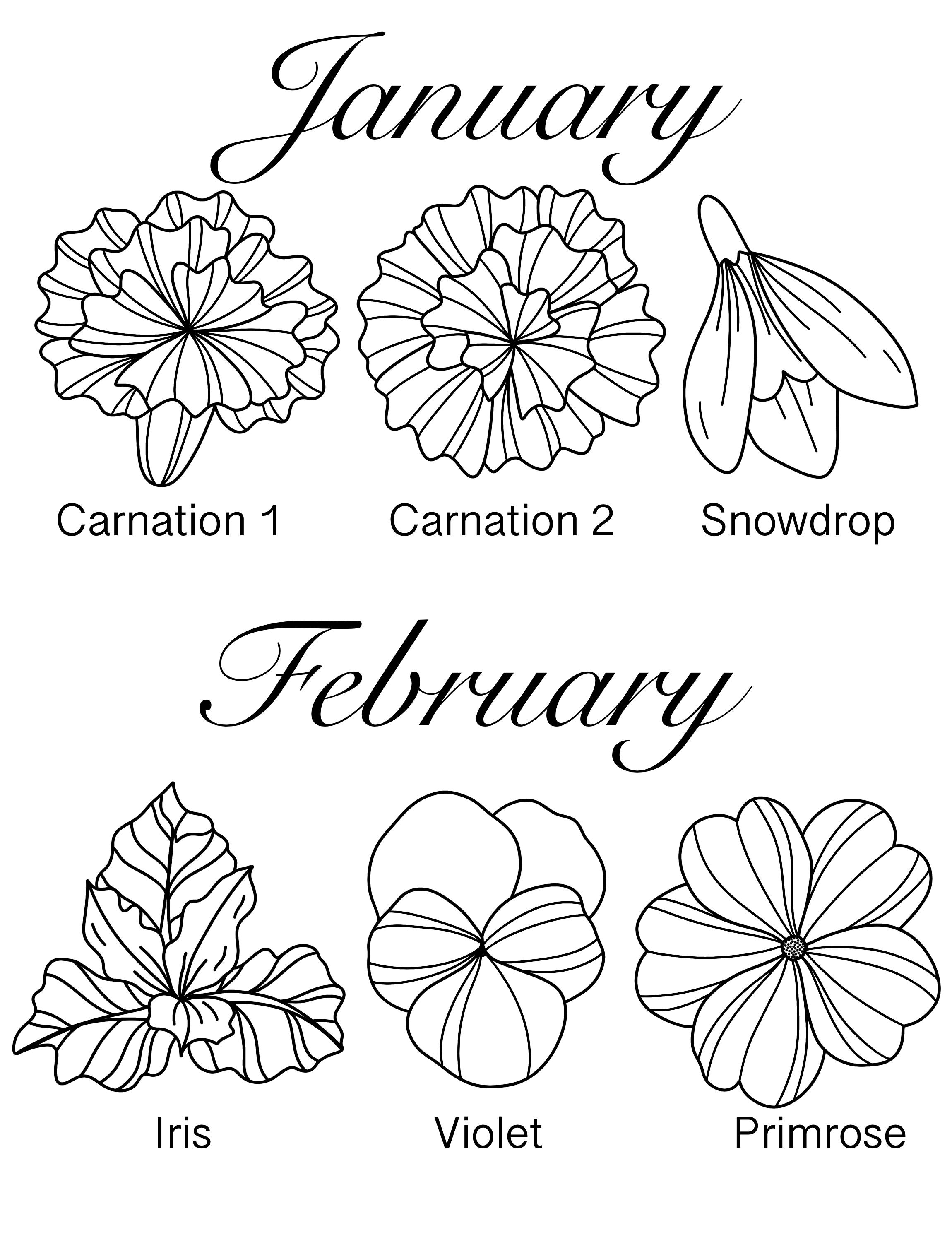 Birth Month Flower Bouquets: One Line Drawing, Personalized Drawing ...