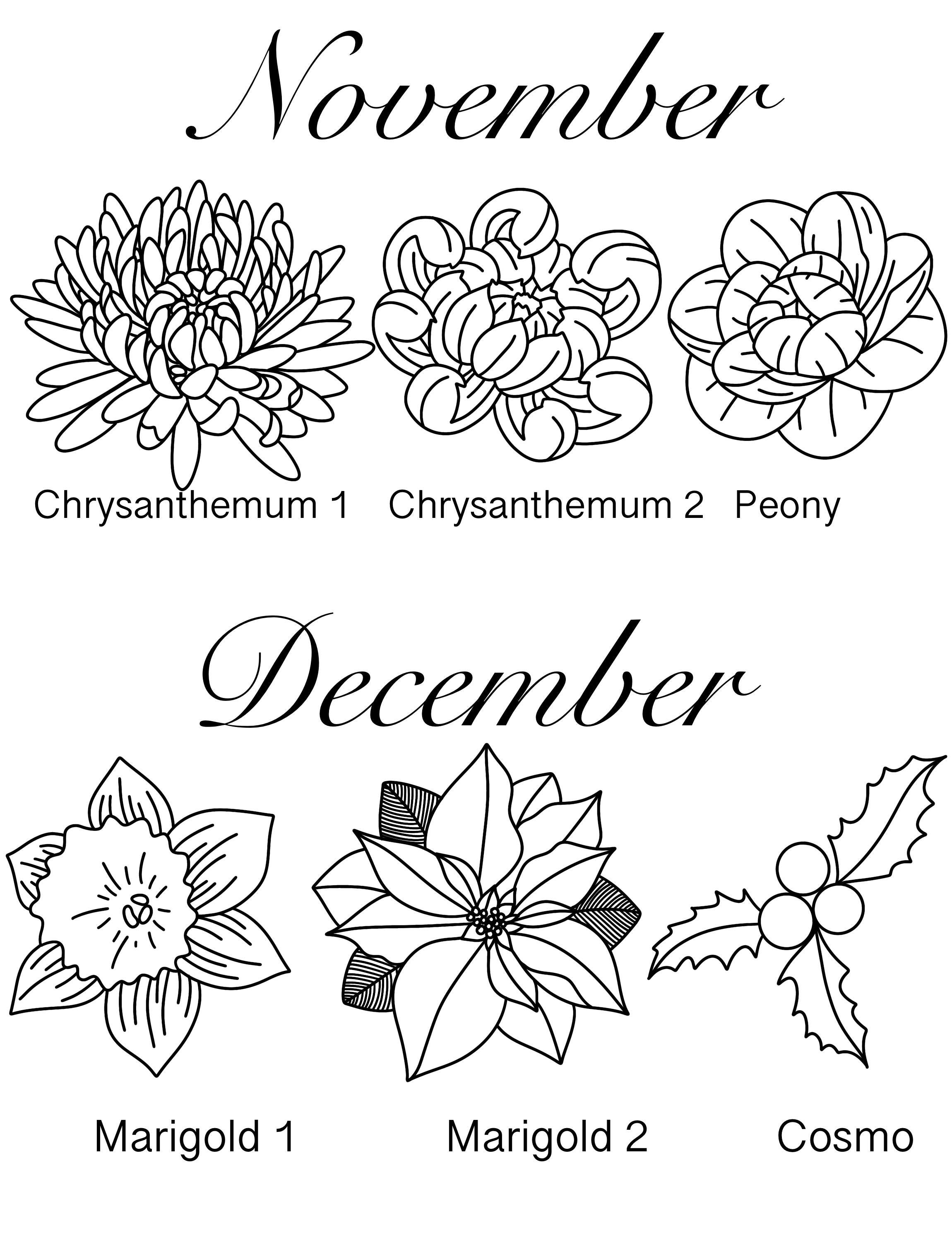 Birth Month Flower Bouquets: One Line Drawing, Personalized Drawing ...