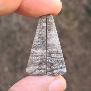 Coral Fossil Lotus Flower Pair - Teardrop Pair - Coral Agate - Agatized ...