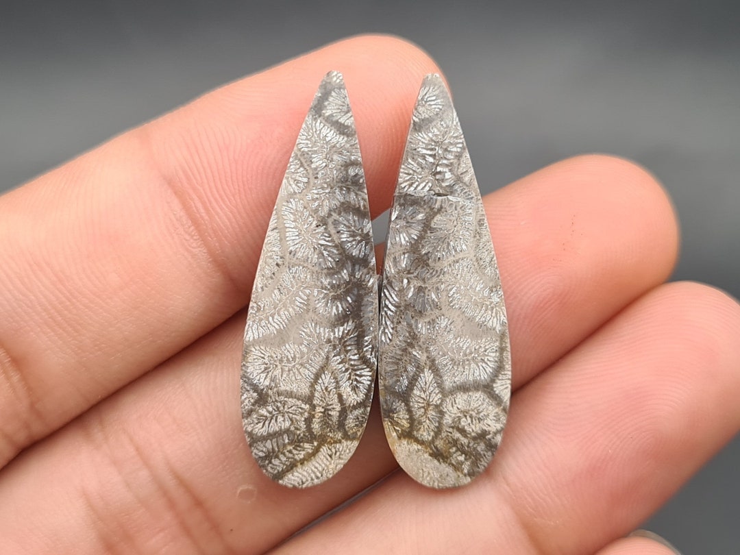 Coral Fossil Lotus Flower Pair Teardrop Pair Coral Agate Agatized ...