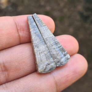 Coral Fossil Lotus Flower Pair - Teardrop Pair - Coral Agate - Agatized ...