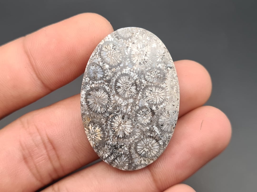 Coral Fossil Lotus Flower Cabochon Teardrop Cabochon Coral Agate ...