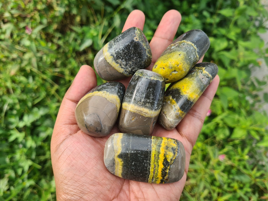 One Bumblebee Jasper Tumbled Bumblebee Jasper Pebbles Size 50 to 60 ...