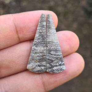 Coral Fossil Lotus Flower Pair - Teardrop Pair - Coral Agate - Agatized ...