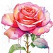Watercolor Rose Flower Bundle Clipart, 10 High Quality Jpgs, Watercolor ...