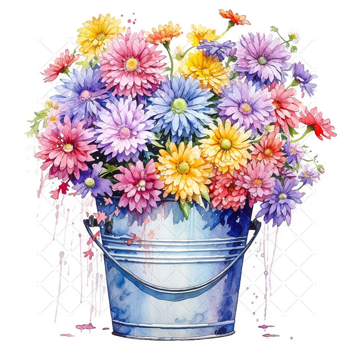 Watercolor Aster Flowers Bouquet Bundle Clipart, 10 High Quality Jpgs ...