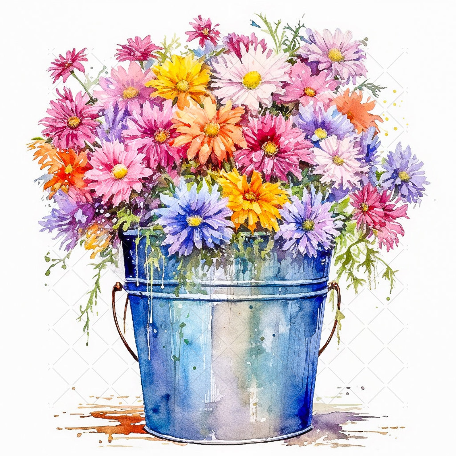 Watercolor Aster Flowers Bouquet Bundle Clipart, 10 High Quality Jpgs ...