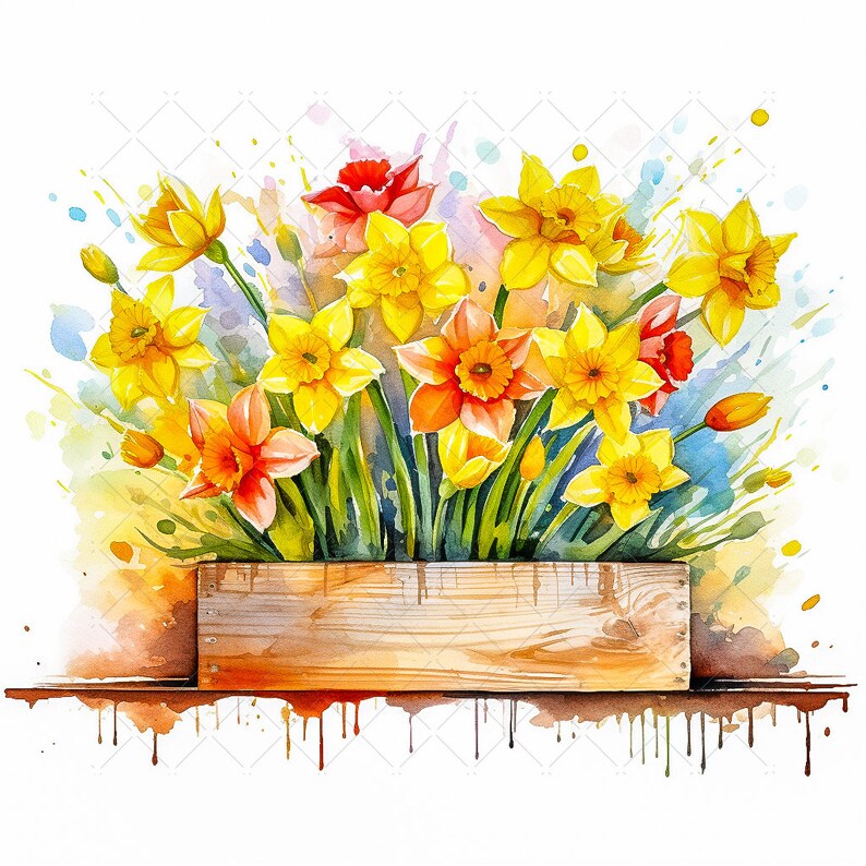 Daffodil Flowers Planter Box Bundle Clipart, 10 High Quality Jpgs ...