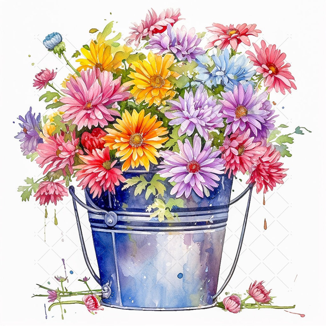 Watercolor Aster Flowers Bouquet Bundle Clipart, 10 High Quality Jpgs ...