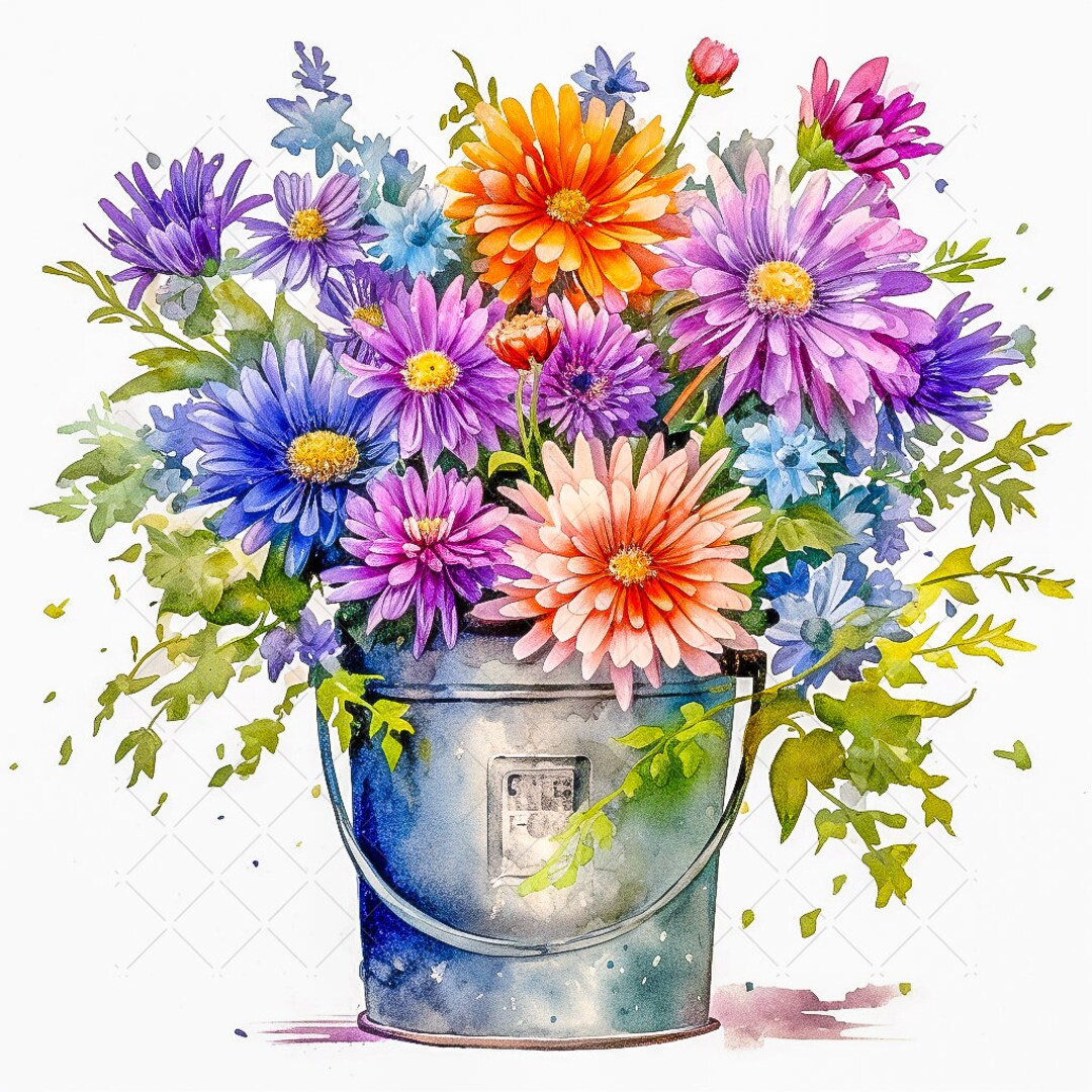 Watercolor Aster Flowers Bouquet Bundle Clipart, 10 High Quality Jpgs ...