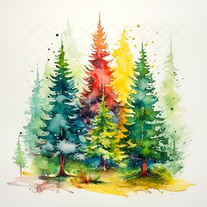 Pine Trees Watercolor Bundle Clipart, 10 High Quality Jpgs, Colorful ...