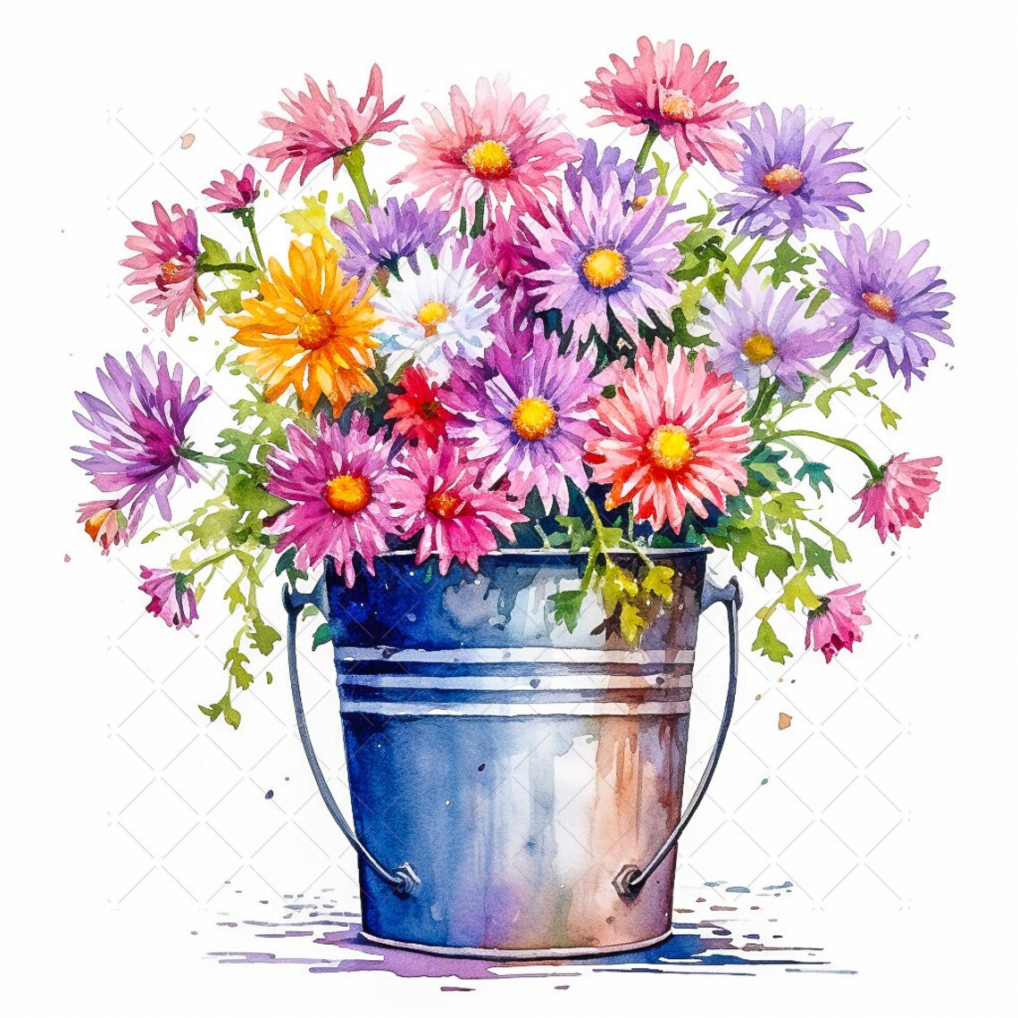 Watercolor Aster Flowers Bouquet Bundle Clipart, 10 High Quality Jpgs ...
