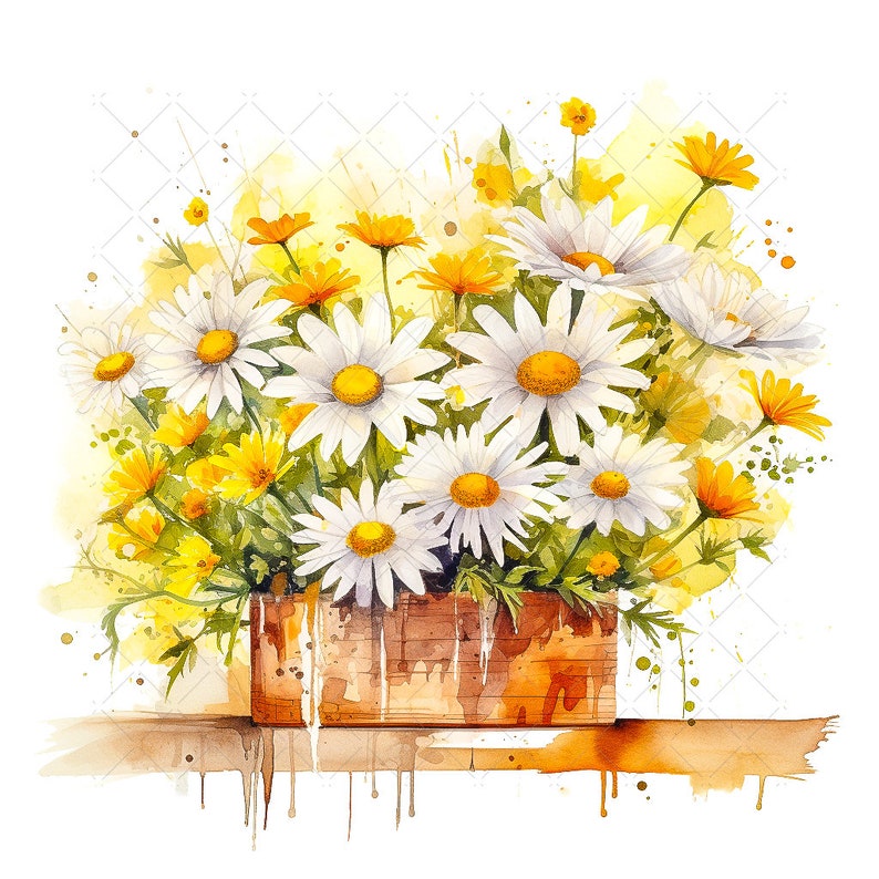 Colorful Daisies Flowers in Planter Box Bundle Clipart, 10 High Quality Jpgs, Watercolor Bouquet ...