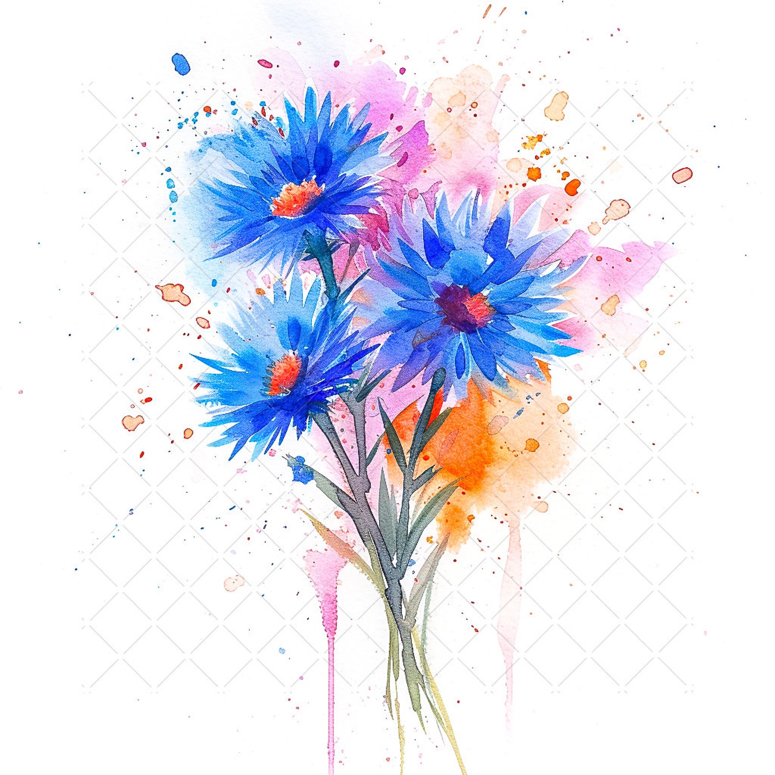 Blue Aster Flower Bundle Clipart, 10 High Quality Jpgs, Watercolor ...