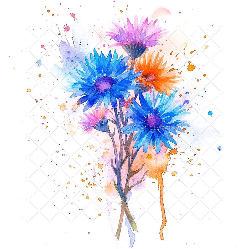 Blue Aster Flower Bundle Clipart, 10 High Quality Jpgs, Watercolor ...