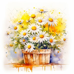 Colorful Daisies Flowers in Planter Box Bundle Clipart, 10 High Quality Jpgs, Watercolor Bouquet ...