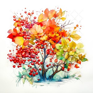 Fall Vibrant Trees Watercolor Bundle Clipart, 10 High Quality Jpgs ...