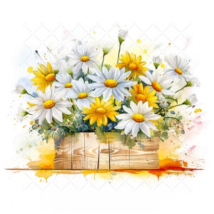 Colorful Daisies Flowers in Planter Box Bundle Clipart, 10 High Quality Jpgs, Watercolor Bouquet ...