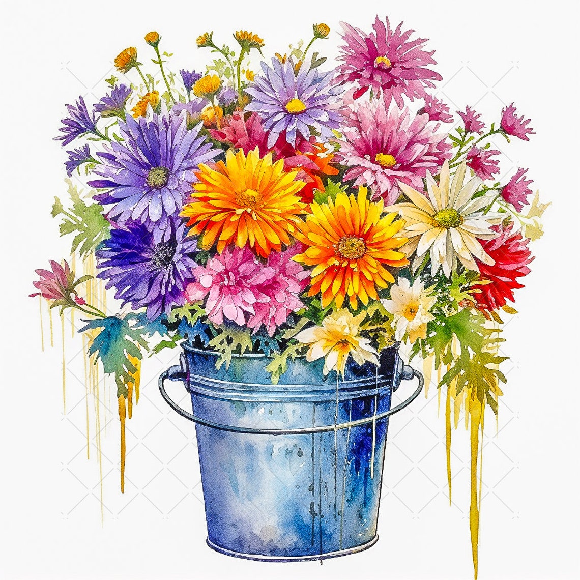 Watercolor Aster Flowers Bouquet Bundle Clipart, 10 High Quality Jpgs ...
