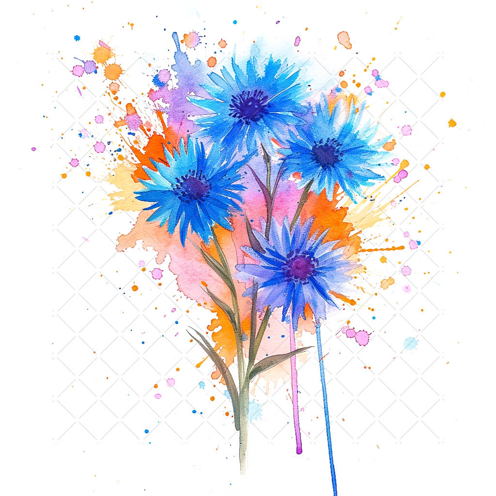 Blue Aster Flower Bundle Clipart, 10 High Quality Jpgs, Watercolor ...