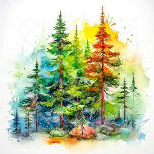 Pine Trees Watercolor Bundle Clipart, 10 High Quality Jpgs, Colorful ...