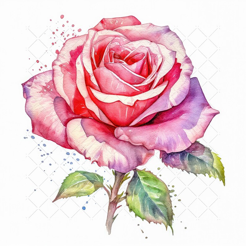 Watercolor Rose Flower Bundle Clipart, 10 High Quality Jpgs, Watercolor ...