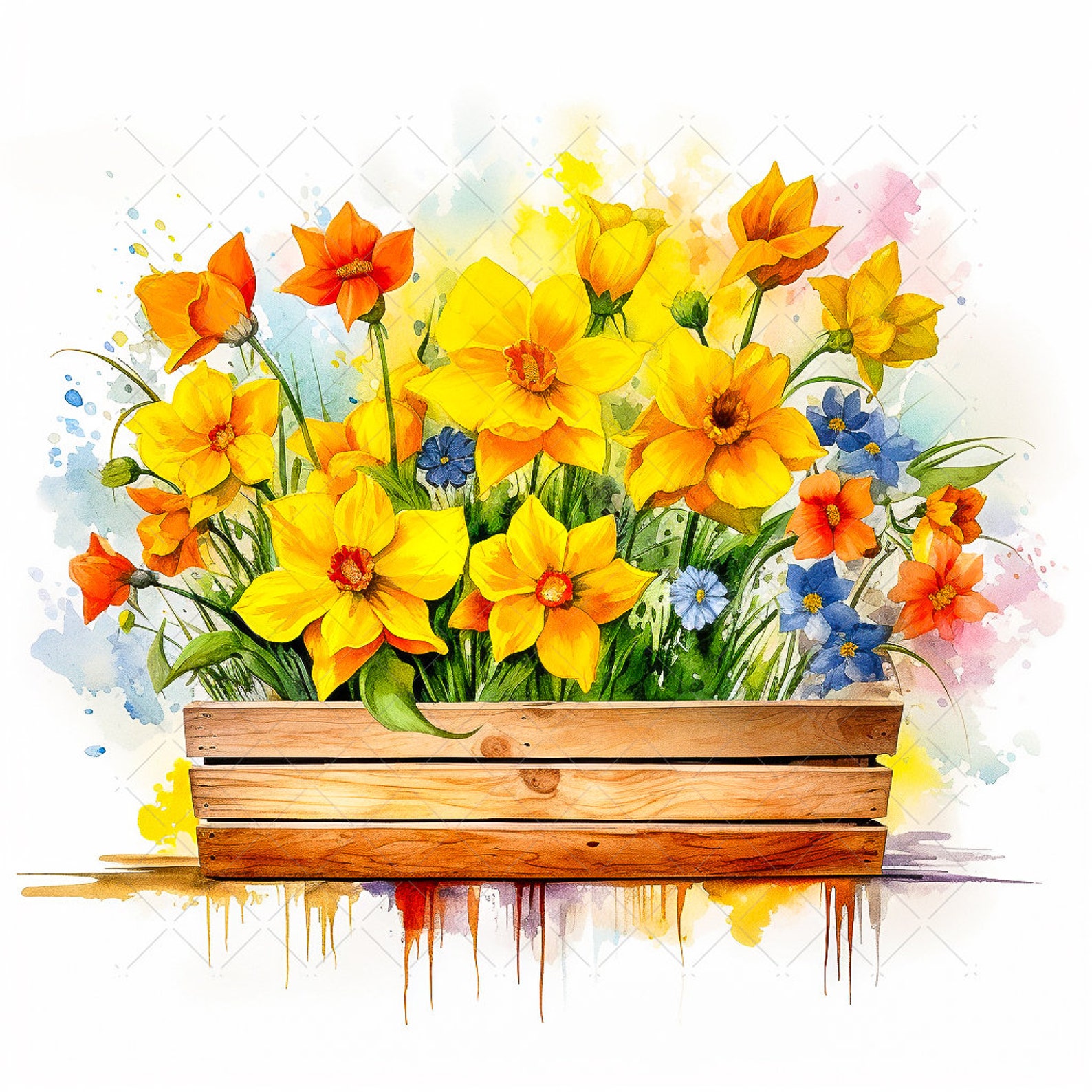 Daffodil Flowers Planter Box Bundle Clipart, 10 High Quality Jpgs ...