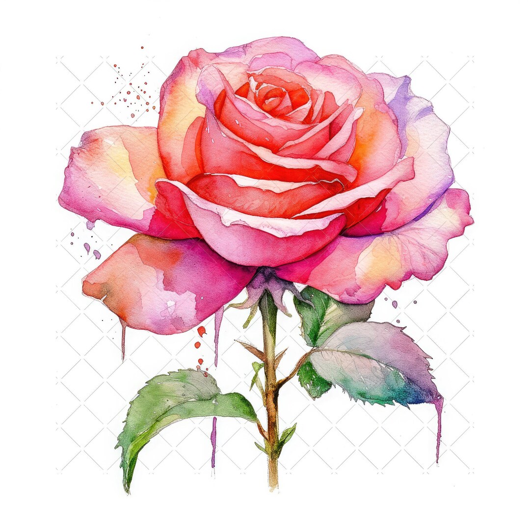 Watercolor Rose Flower Bundle Clipart, 10 High Quality Jpgs, Watercolor ...