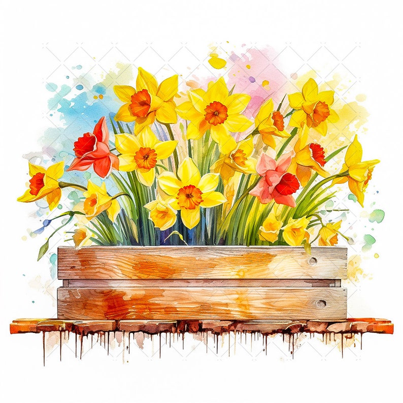 Daffodil Flowers Planter Box Bundle Clipart, 10 High Quality Jpgs ...