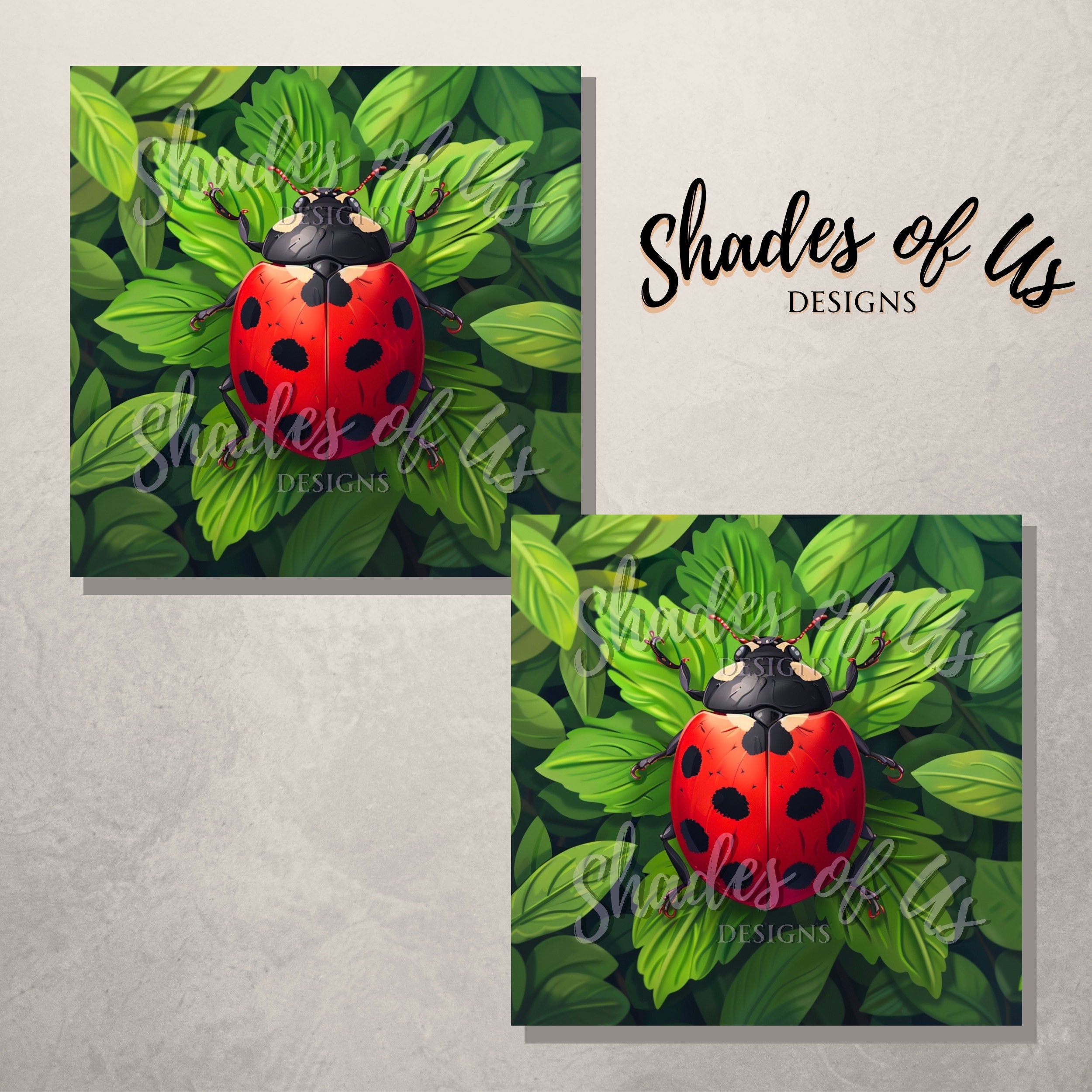 Ladybug PNG Wind Spinner Sublimation Design, High Quality PNG for ...