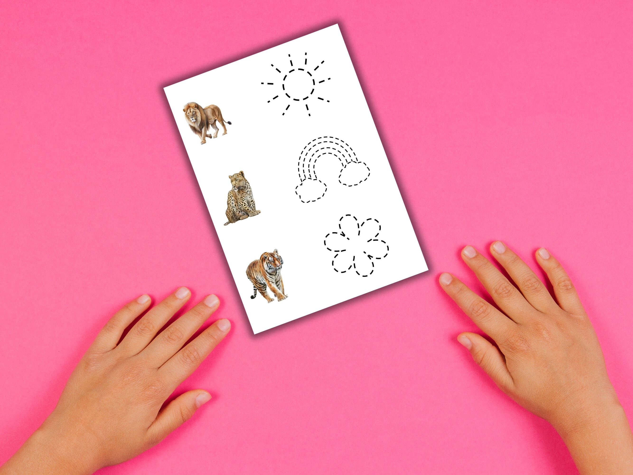 Preschool Line Tracing Worksheets, Safari Theme, Big Cat Unit Study ...