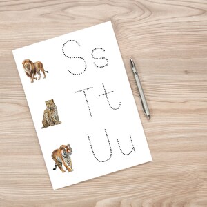 Preschool Line Tracing Worksheets, Safari Theme, Big Cat Unit Study ...