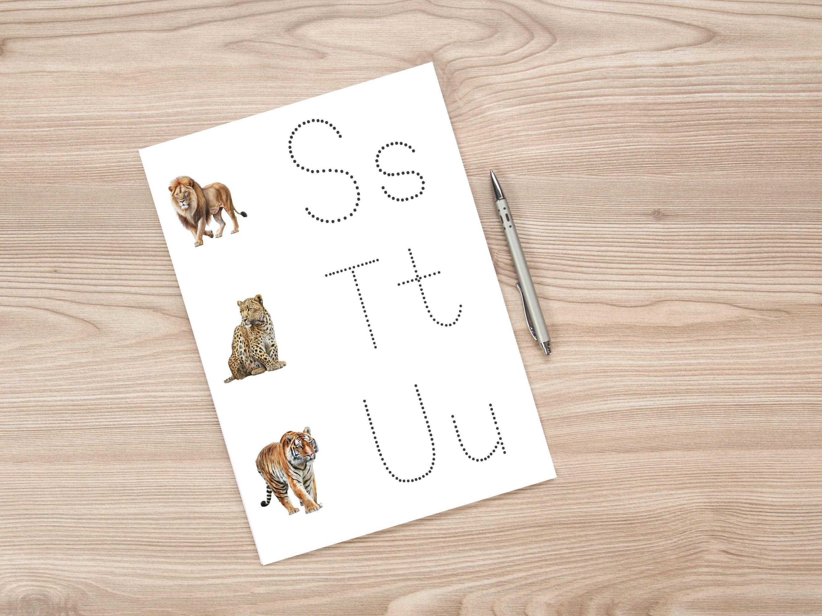 Preschool Line Tracing Worksheets, Safari Theme, Big Cat Unit Study ...