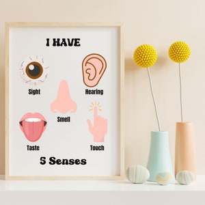Five Senses Printable Educational Poster for Kids, Classroom Wall Art ...