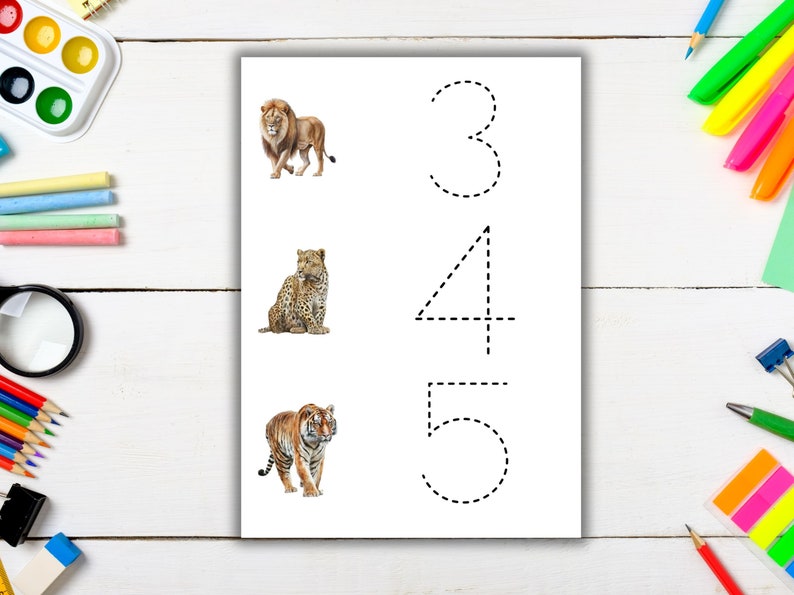 Preschool Line Tracing Worksheets, Safari Theme, Big Cat Unit Study ...