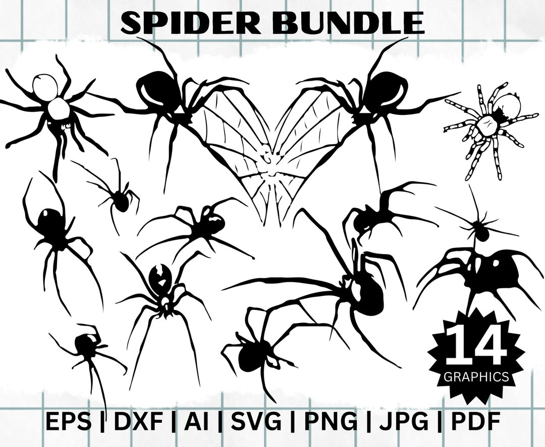 Spider SVG / Spider Heart Web SVG / Insect SVG / Cobweb Svg / Halloween ...