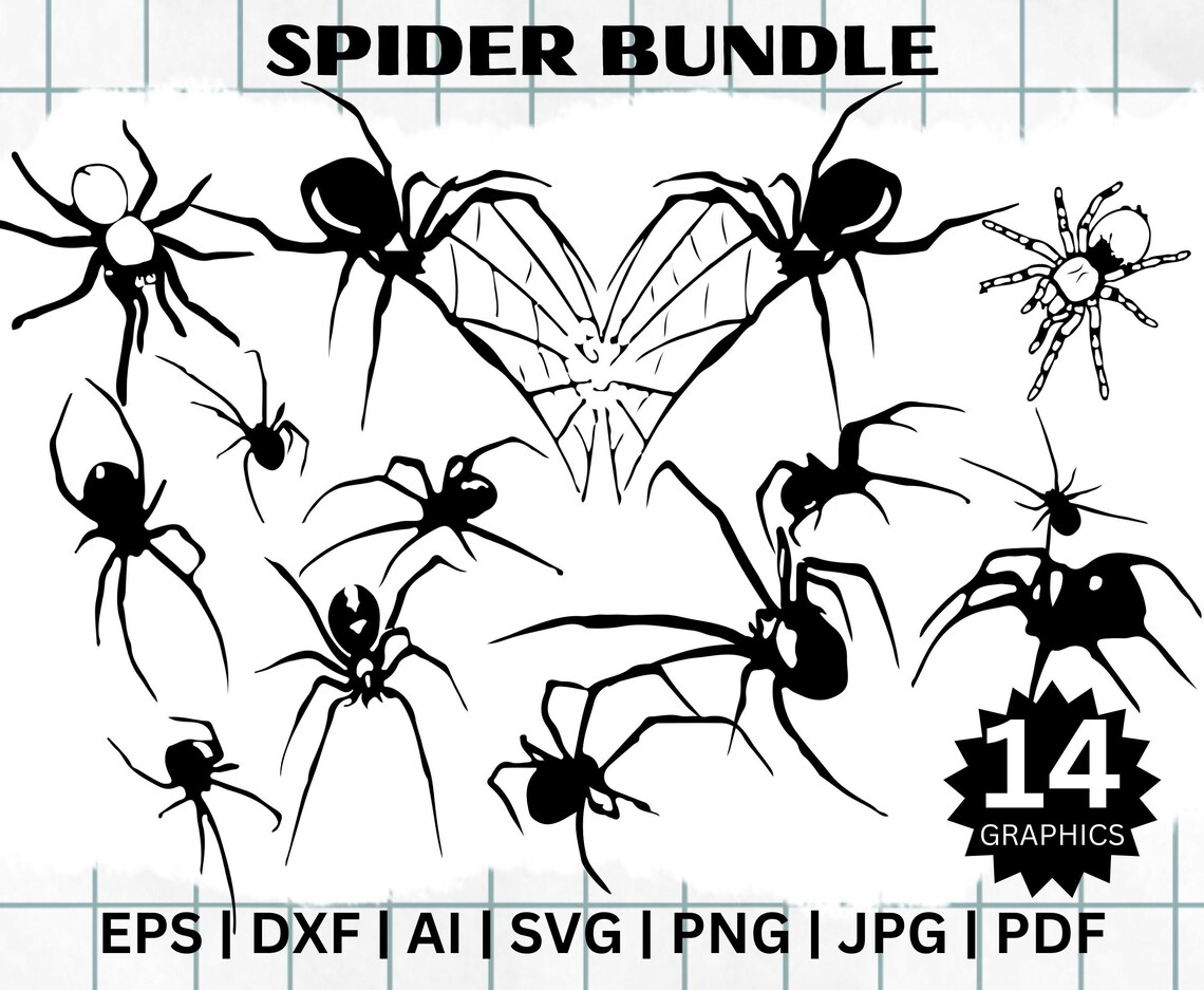 Spider SVG / Spider Heart Web SVG / Insect SVG / Cobweb Svg / - Etsy