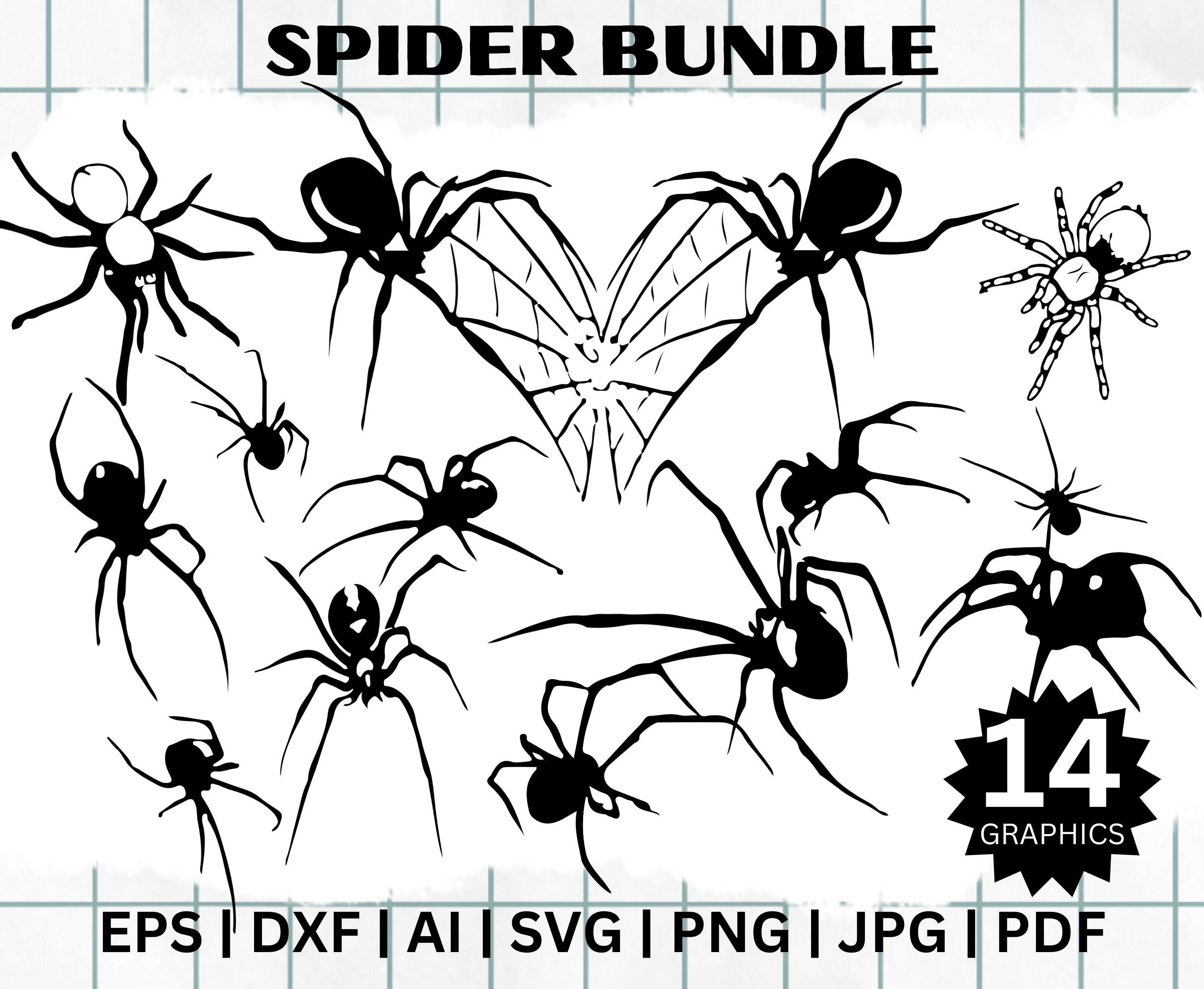 Spider SVG / Spider Heart Web SVG / Insect SVG / Cobweb Svg / Halloween ...