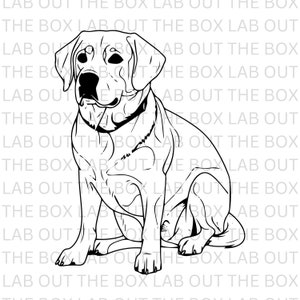 Labrador Retriever | Eps | Dxf | Ai | Svg | Png | Jpg | Pdf | Dog ...