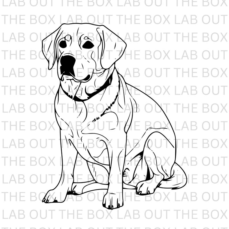 Labrador Retriever | Eps | Dxf | Ai | Svg | Png | Jpg | Pdf | Dog ...