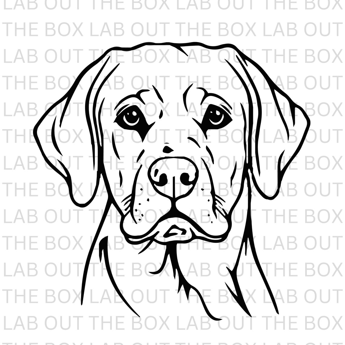 Labrador Retriever Eps Dxf Ai Svg Png Jpg Pdf Dog Graphic Cut Files ...