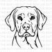 Labrador Retriever Eps Dxf Ai Svg Png Jpg Pdf Dog Graphic Cut Files ...
