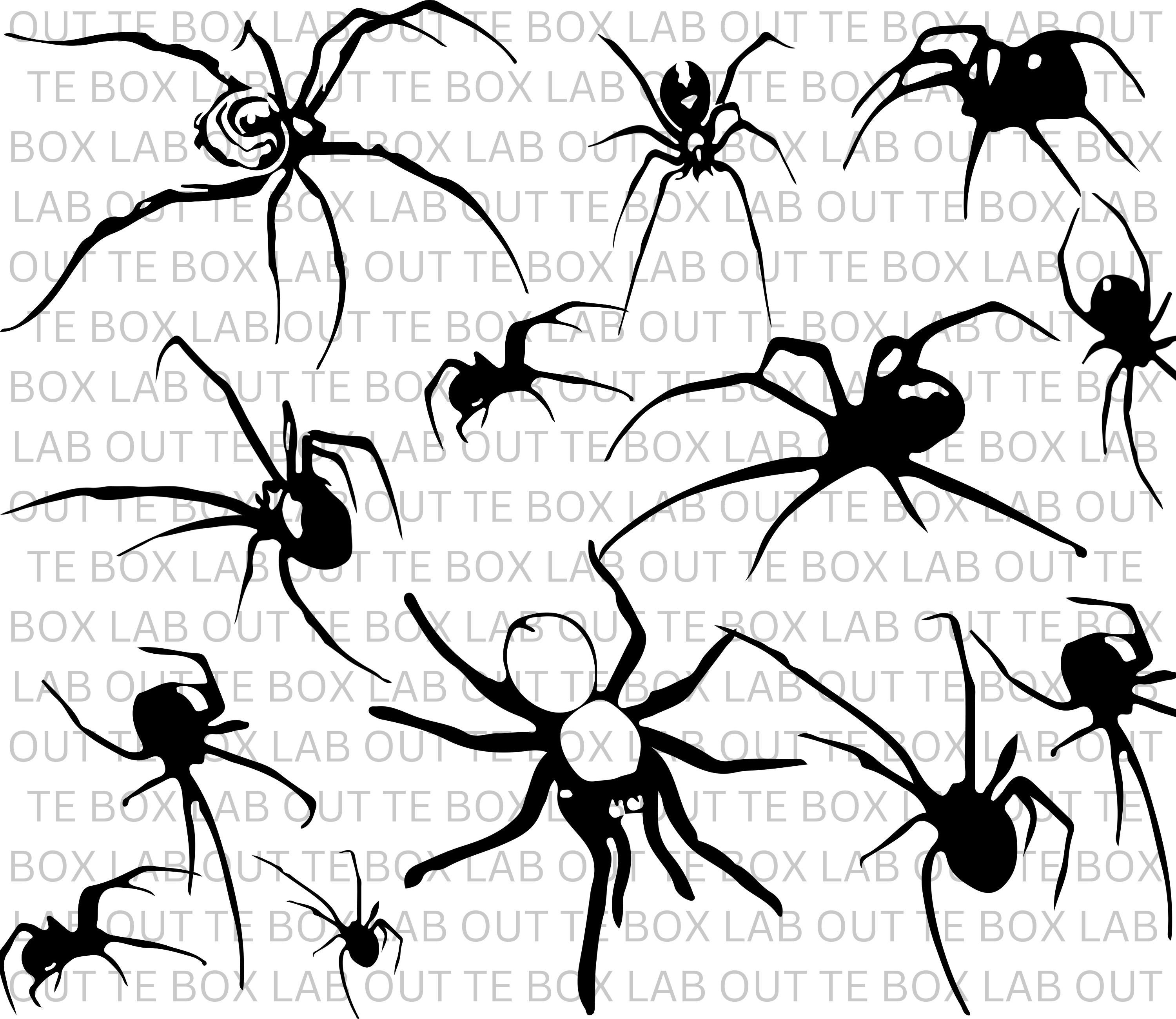 Spider SVG / Spider Heart Web SVG / Insect SVG / Cobweb Svg / Halloween ...