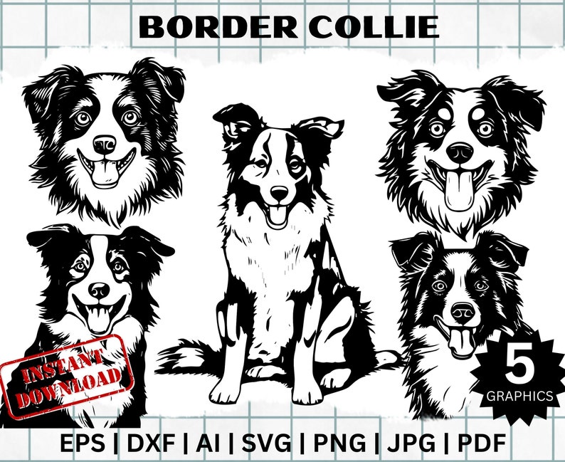 BORDER COLLIE Svg Dog Svg Pet Svg Cut Files Clip Art T - Etsy México