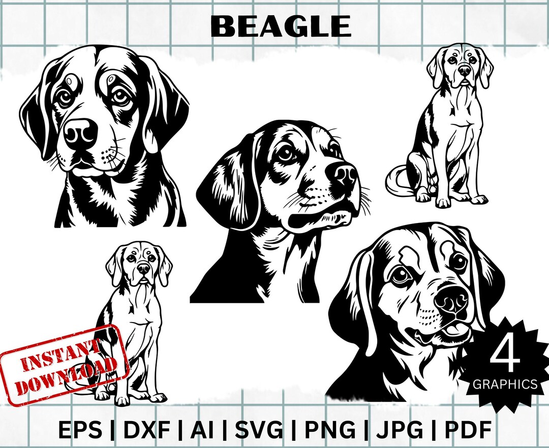BEAGLE Svg | Dog Svg PORTRAIT | Vector Graphic | Png | Svg | Eps | Dxf ...