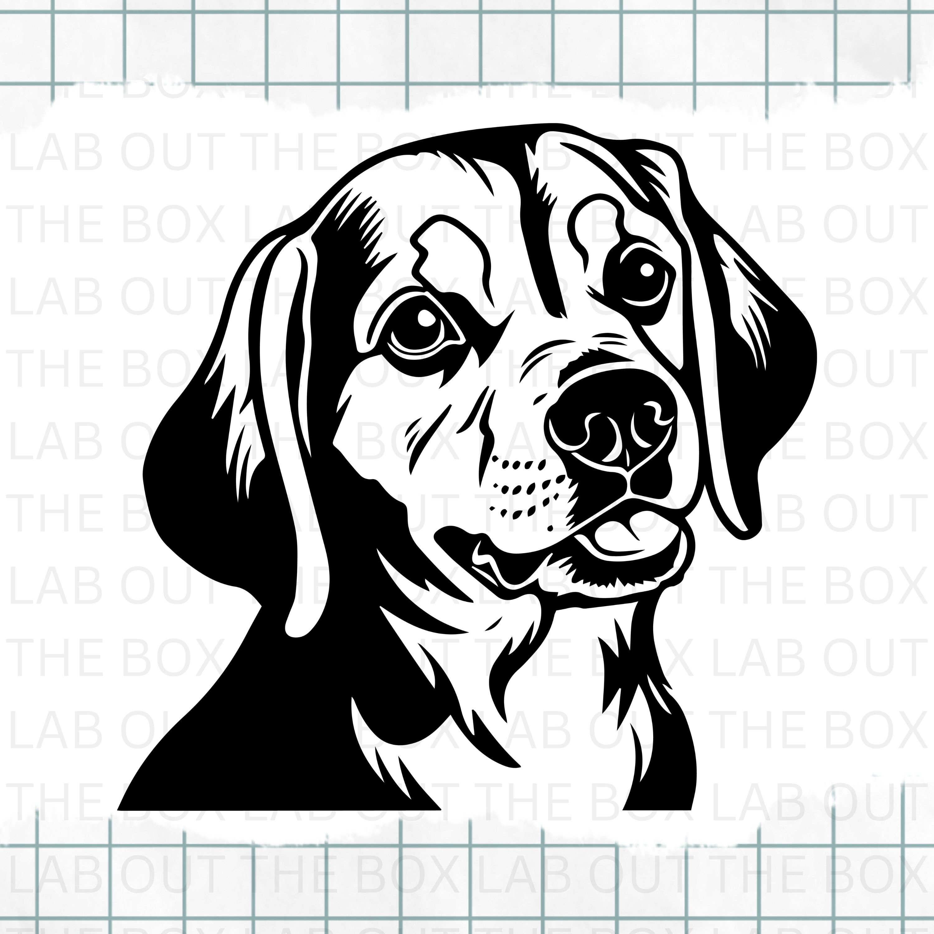 BEAGLE Svg Dog Svg PORTRAIT Vector Graphic Png Svg - Etsy