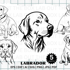Labrador Retriever | Eps | Dxf | Ai | Svg | Png | Jpg | Pdf | Dog ...